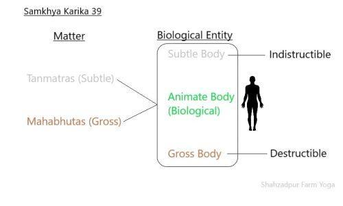 Samkhya Karika 39 | Subtle and Gross Matter, Three Bodies