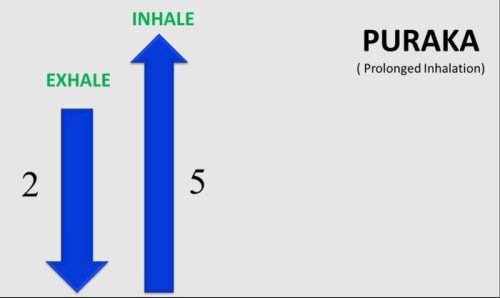 Basic four Pranayama | Sunyaka, Puraka, Kumbhaka , Rechaka