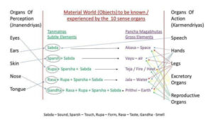 Samkhya Karika 34 | Nature of 10 sense Organs Explained