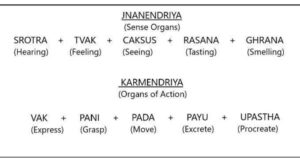 Samkhya Karika 26 | Ahamkara to Jnanendriyas, Karmendriyas