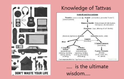 Samkhya Karika 64 | Ultimate Wisdom is Knowledge of Tattvas