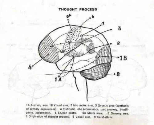 Mind vs Brain Relationship | The Difference between the two
